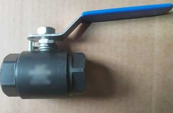 ASTM A352 Grade LC2 valve | SA352 Gr LC2 gate/ ball valve suppliers UAE