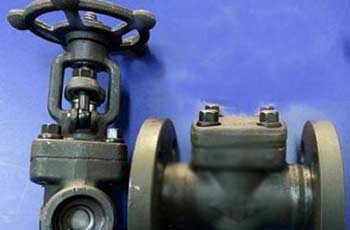 ASTM A352 Grade LC2 valve | SA352 Gr LC2 gate/ ball valve suppliers UAE